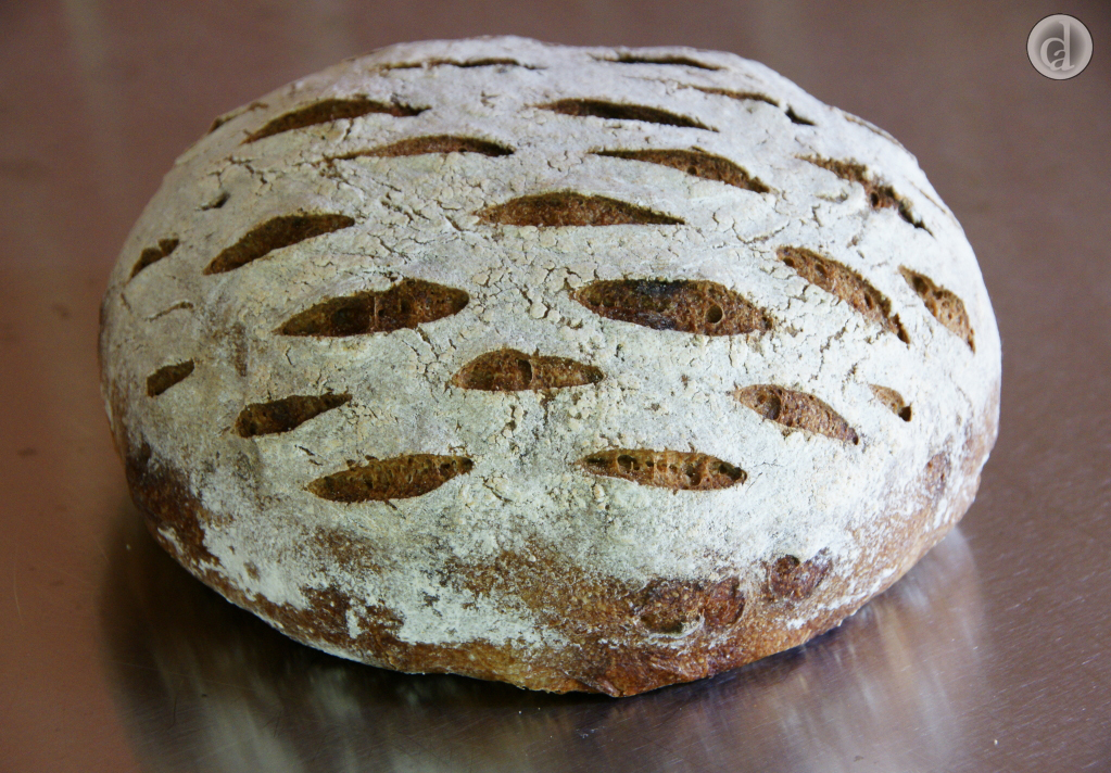 Libby's Favourite Sourdough